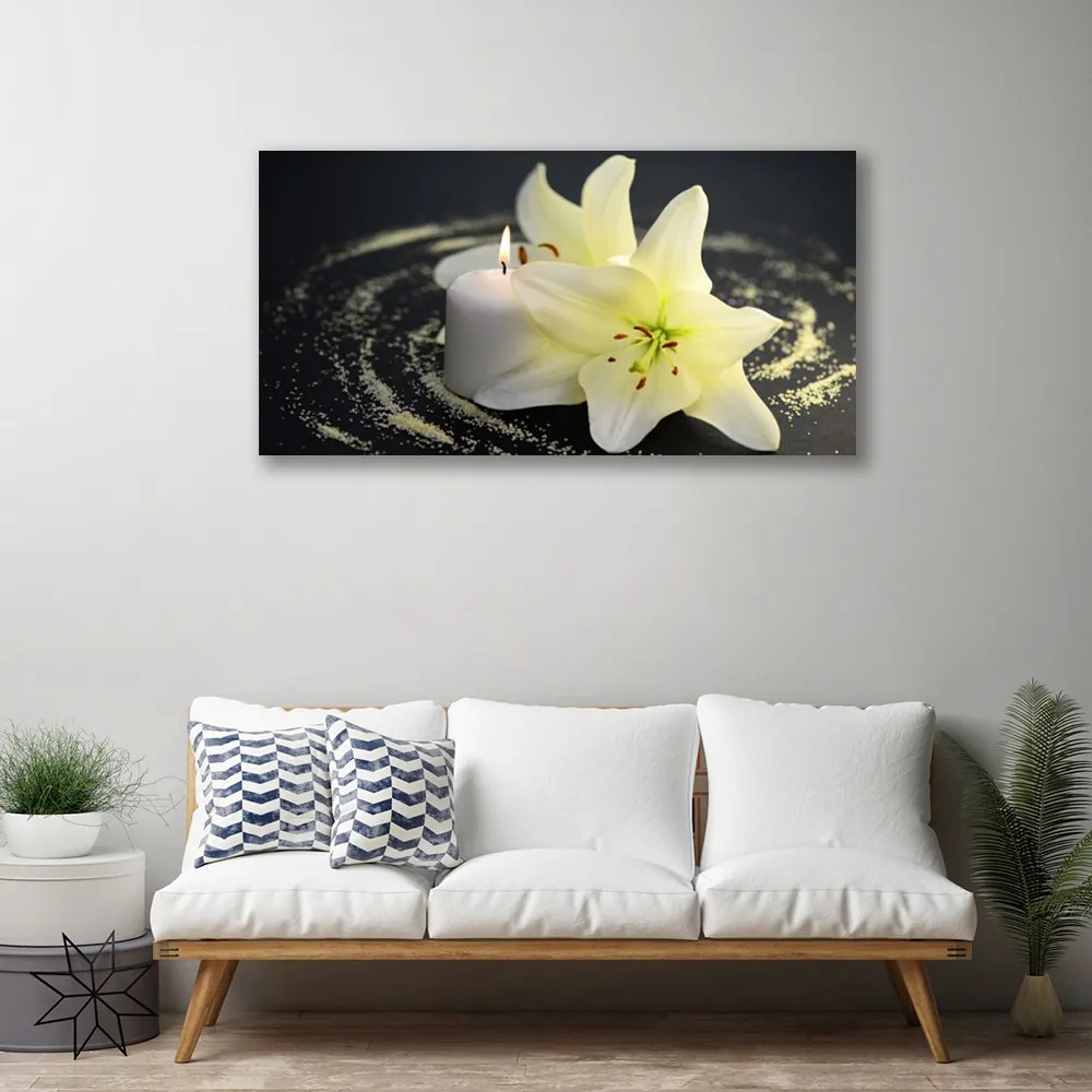 Obraz na plátně Květ Rostlina Příroda 140x70 cm