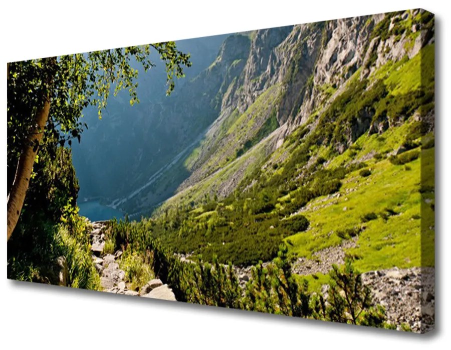 Obraz na plátně Hora Les Příroda 125x50 cm