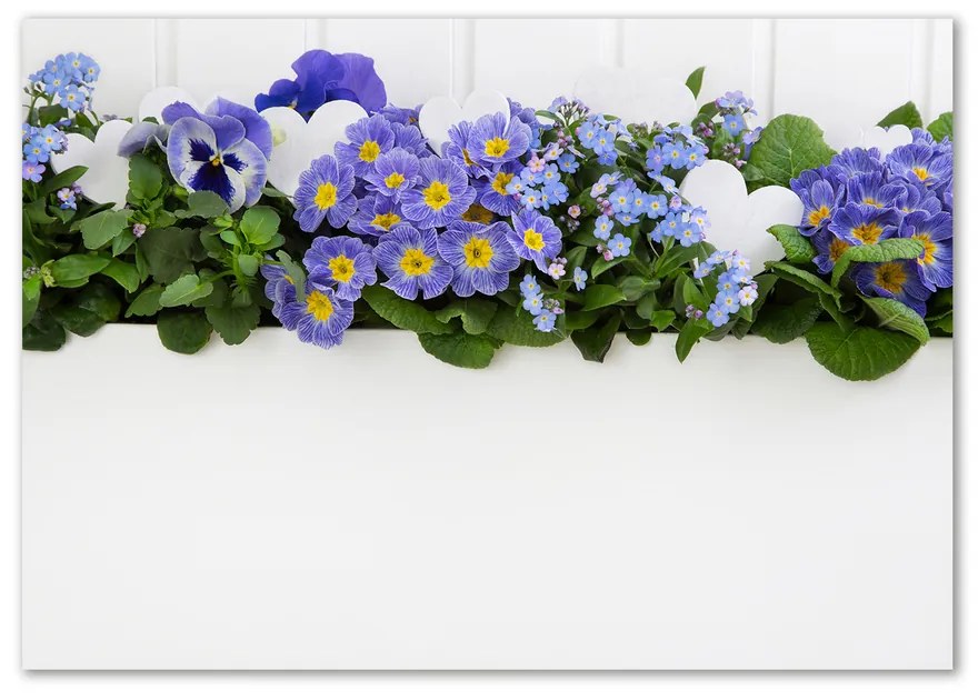 Wallmuralia Foto-obrah sklo tvrzené Modré květiny 100x70 cm