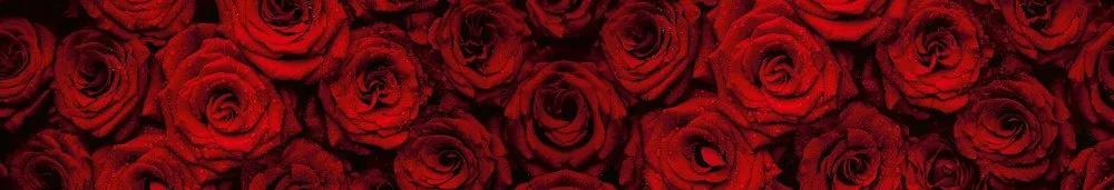 Fototapeta za linku KI350-132 Red Roses 350 x 60 cm