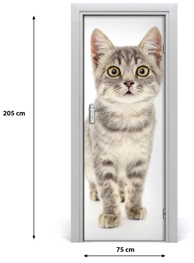 Samolepící fototapeta na dveře Šedá kočka 75x205 cm