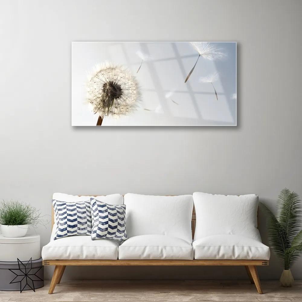 Obraz na skle Pampeliška Květiny Příroda 120x60 cm
