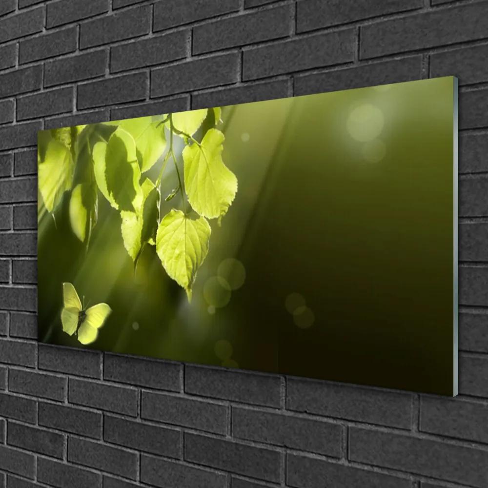 Obraz na skle Listy Slunce Paprsky 100x50 cm