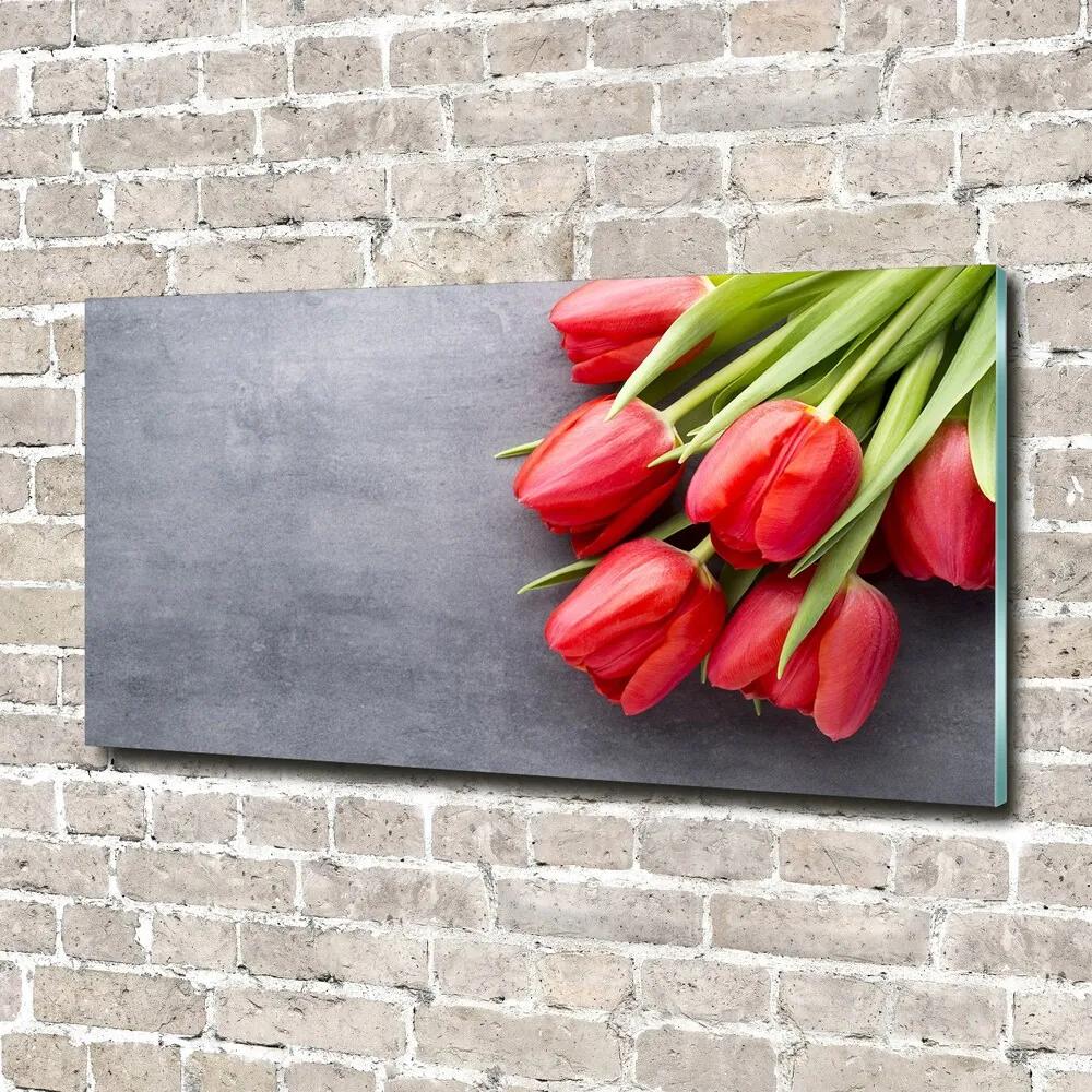 Wallmuralia Foto obraz fotografie na skle Červené tulipány 140x70 cm