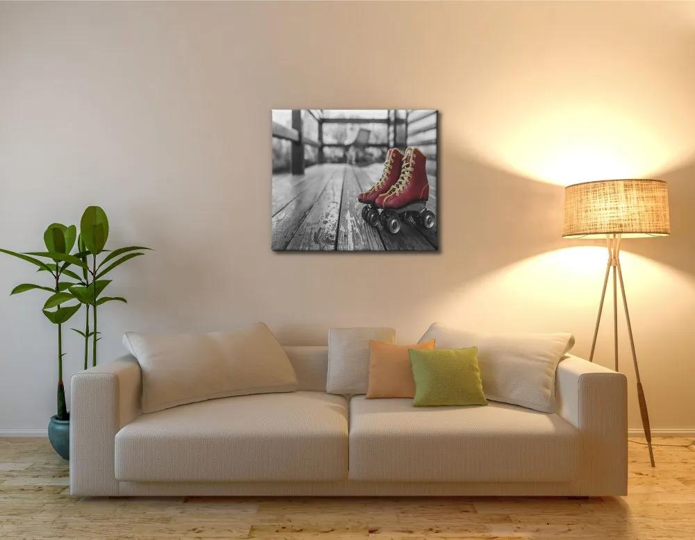 GLIX Retro brusle - obraz na plátně 90x60 cm