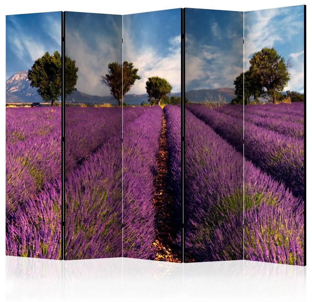 Paraván - Lavender field in Provence, France [Room Dividers] 225x172