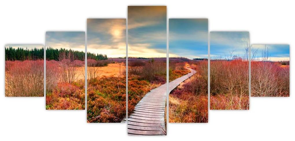 Obraz - Podzimní cesta krajinou (210x100 cm)