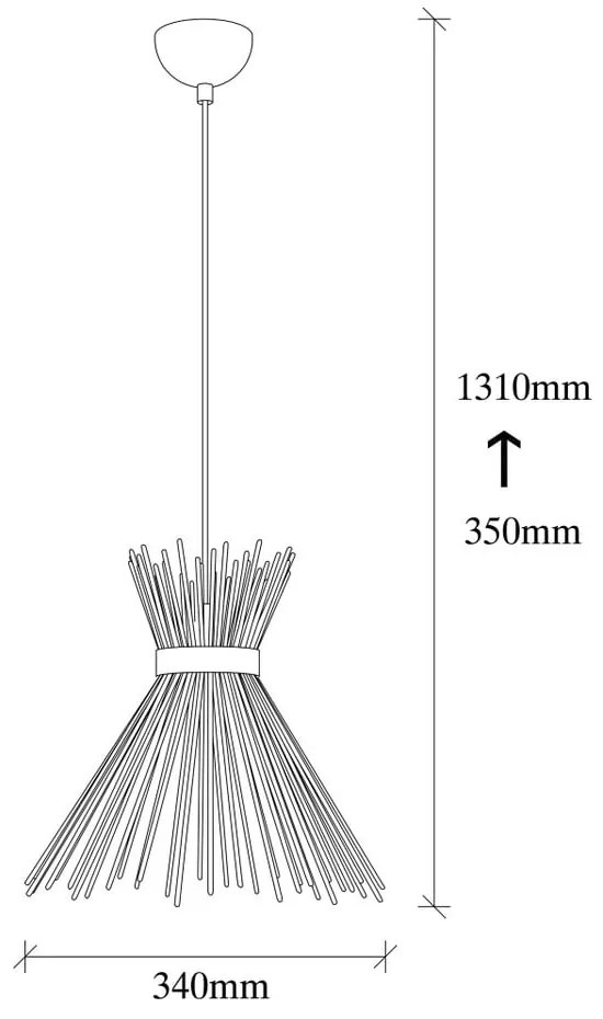 Černé kovové závěsné svítidlo Opviq lights Rosalia