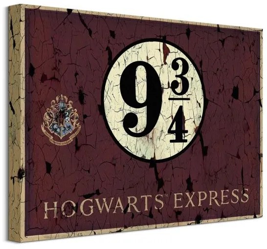 Obraz na plátně Harry Potter Hogwarts Express 9 3/4 40x30cm WDC12031