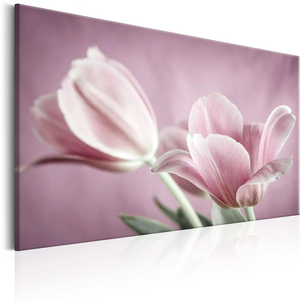 Obraz - Romantic Tulips 90x60