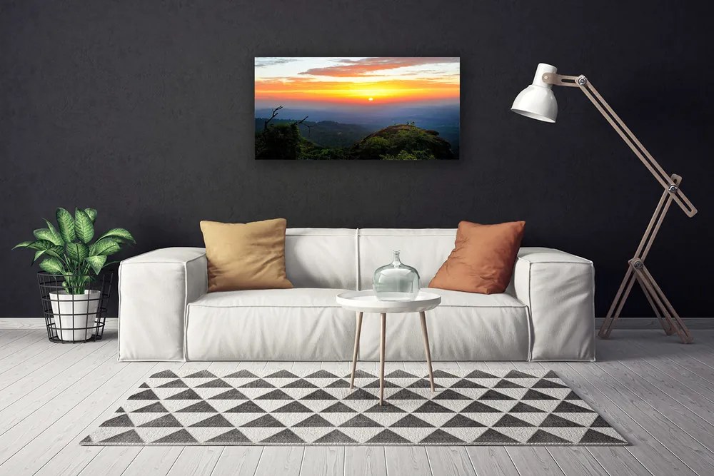 Obraz na plátně Hora Les Krajina 100x50 cm