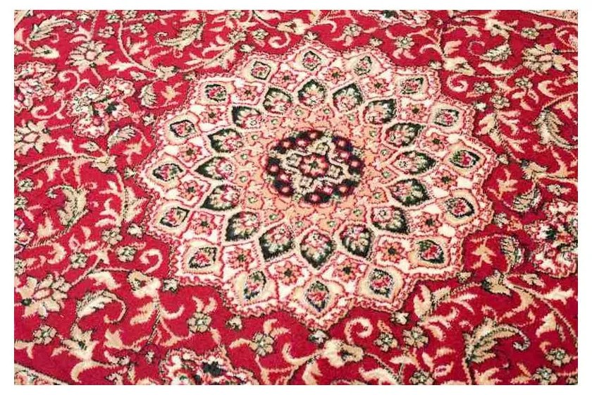 Kusový koberec PP Ezra červený 200x400cm