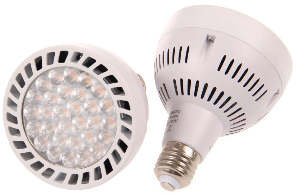 T-LED LED žárovka E27 PAR30 OS45-24 Studená bílá