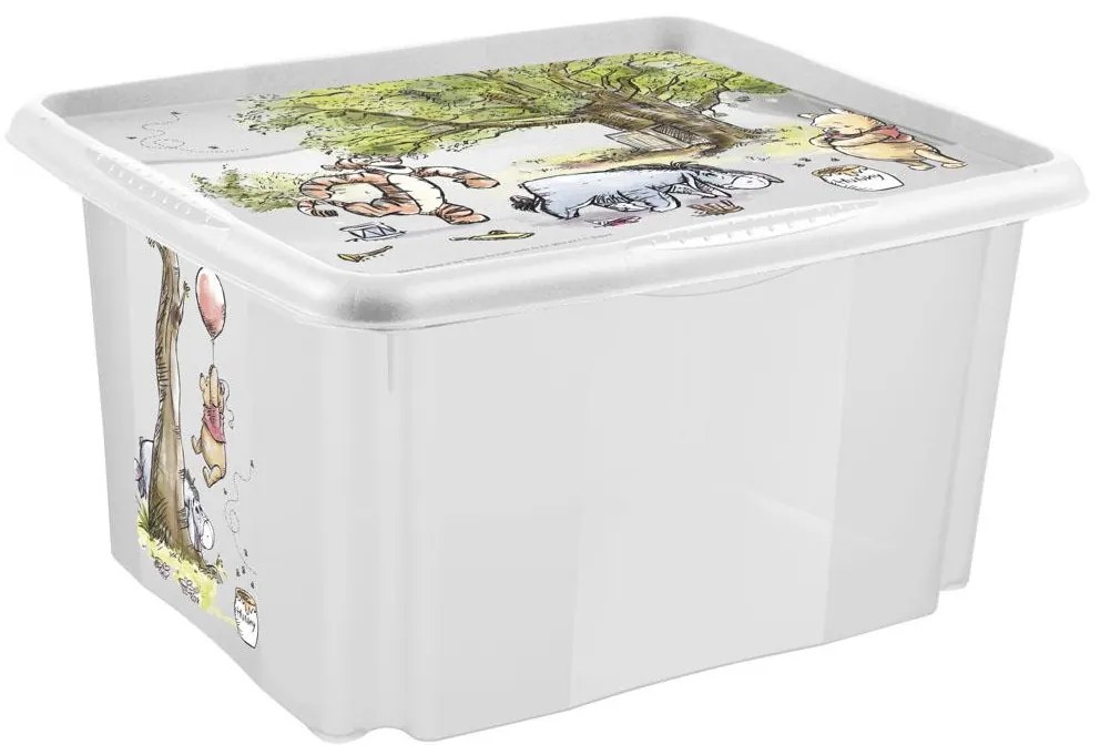 Keeeper Úložný box s víkem velký "Winnie", Transparent II 45 l