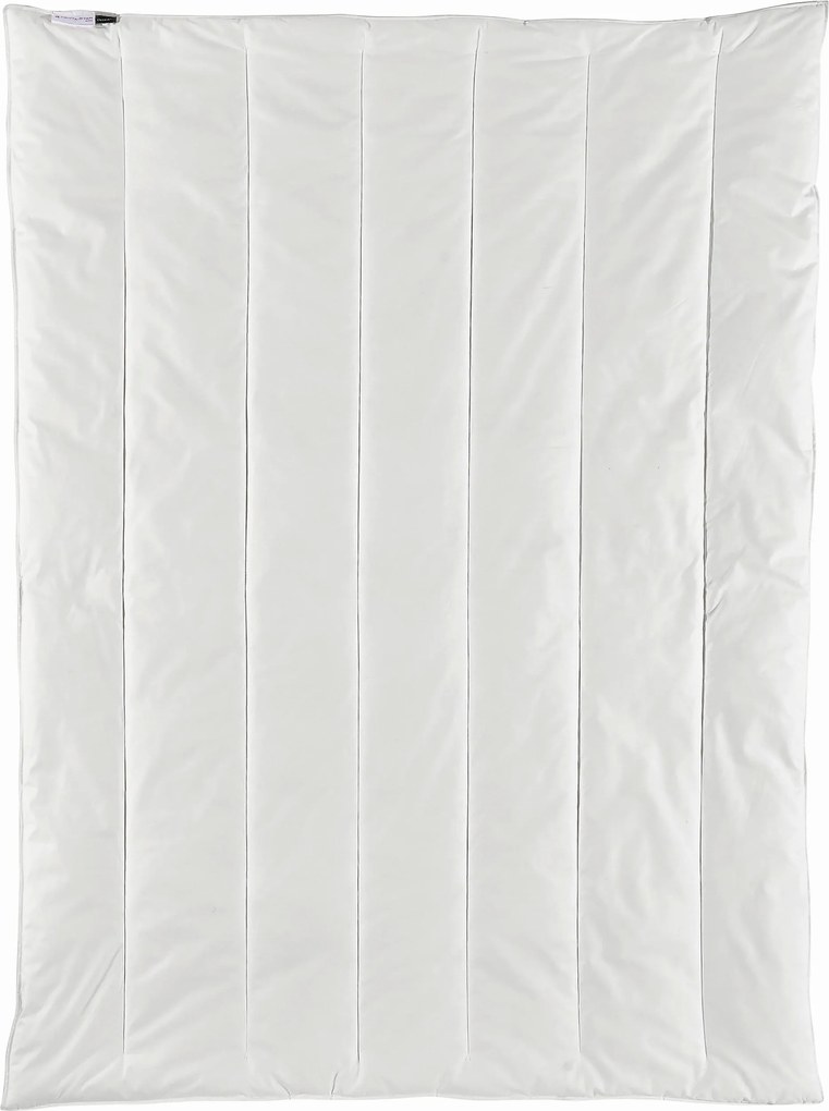 XXXLutz CELOROČNÍ PŘIKRÝVKA, 200/220 cm, polyester Centa-Star - Přikrývky - 003503029404