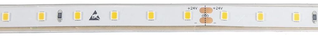 Indeluz 200DS-L3905FC0-00 24 V LED pásek Nilo 8-10, 4,8W/m, 3000K, 5m, IP67