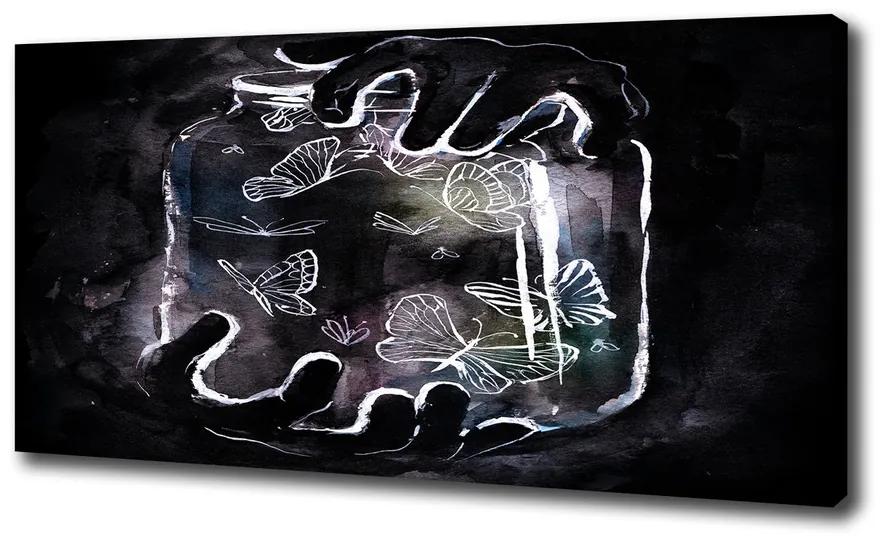 Wallmuralia Moderní obraz canvas na rámu Motýli ve skleniki 100x50 cm