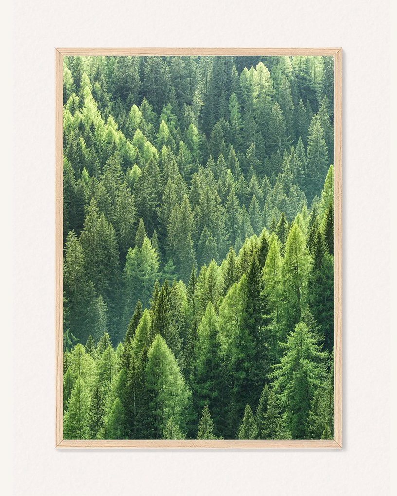 Oboustranný plakát Divoké Borovice / Mech | 30 x 42 cm | DP351317