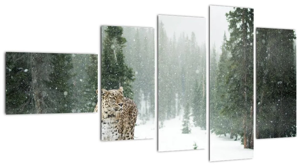 Obraz leoparda ve sněhu (110x60 cm), 40 dalších rozměrů