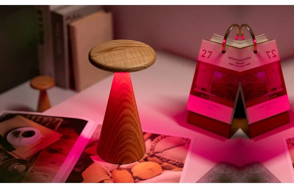 LED stolní lampa v přírodní barvě s dřevěným stínidlem (výška 21 cm) Sylva – Gingko