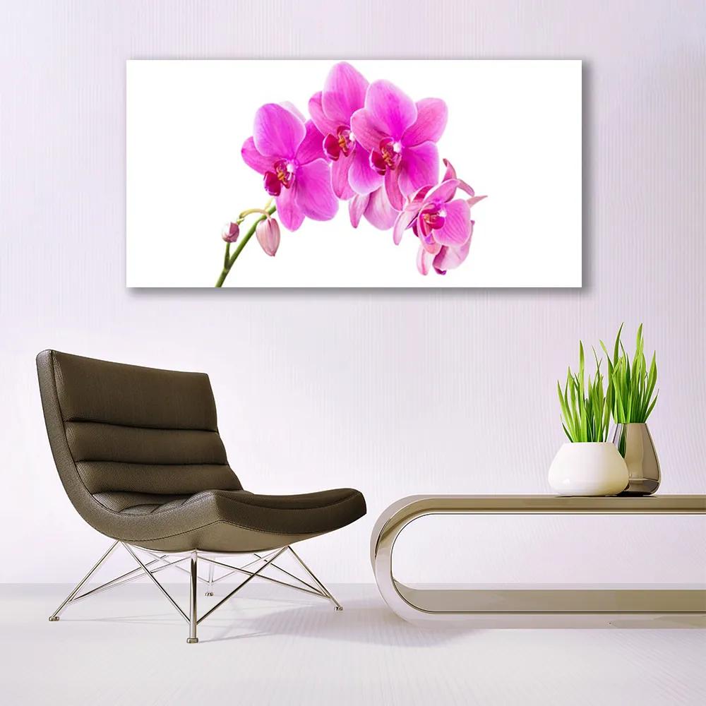 Plexisklo-obraz Vstavač Květ Orchidej 120x60 cm