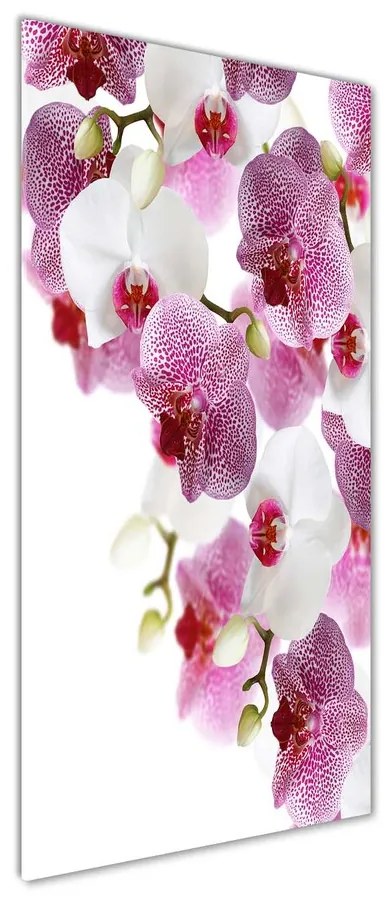 Wallmuralia Foto-obrah sklo tvrzené Orchidej 50x125 cm