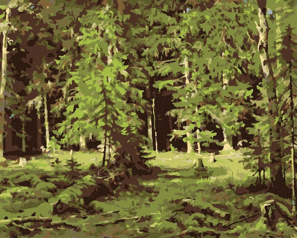 zuty zuty - malování podle čísel - les (ivan shishkin), 40x50 cm, plátno