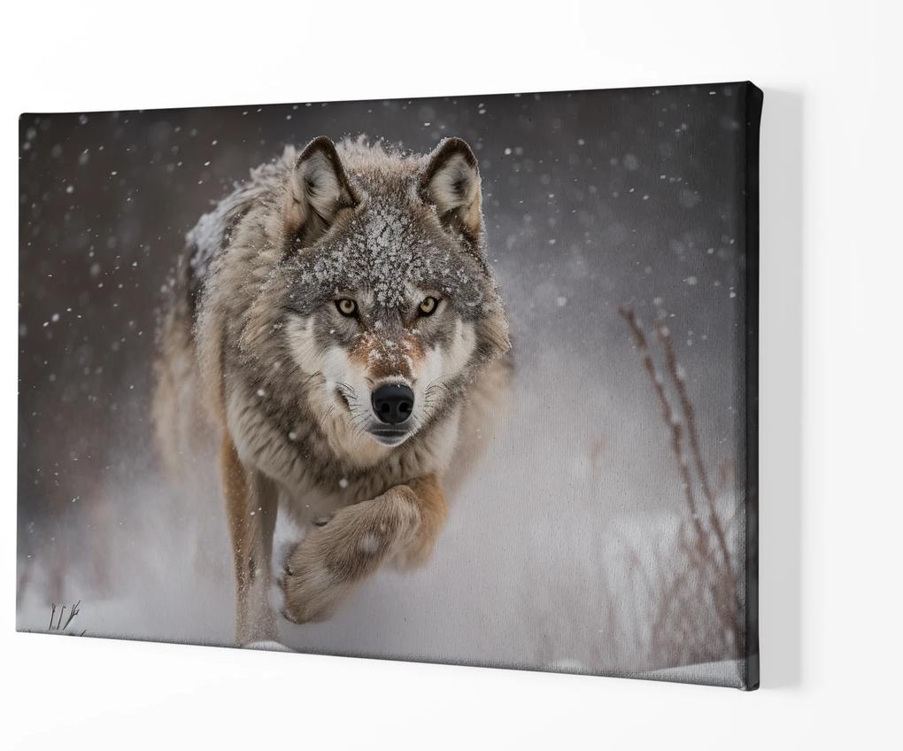 Obraz na plátně - Vlk běžící v divoké zasněžené krajině FeelHappy.cz Velikost obrazu: 150 x 100 cm