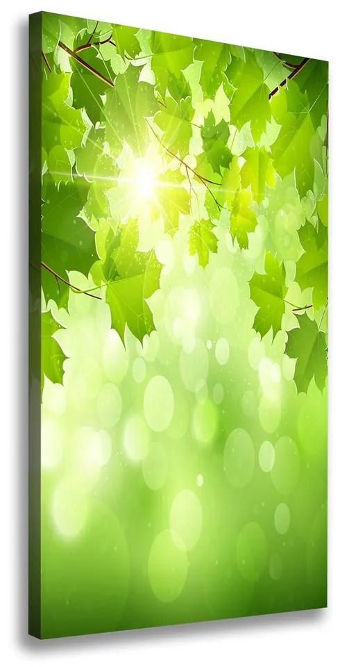 Wallmuralia Foto-obraz canvas do obýváku Zelené listí 70x140 cm