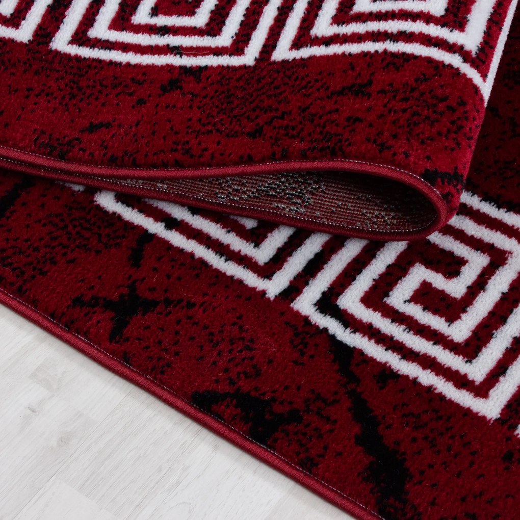 Ayyildiz, Kusový koberec Plus 8009 red, 200x290, červená, obývací pokoj