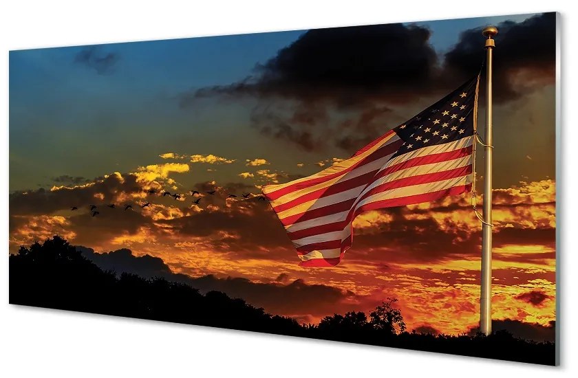 Obraz na skle Vlajka USA 125x50 cm