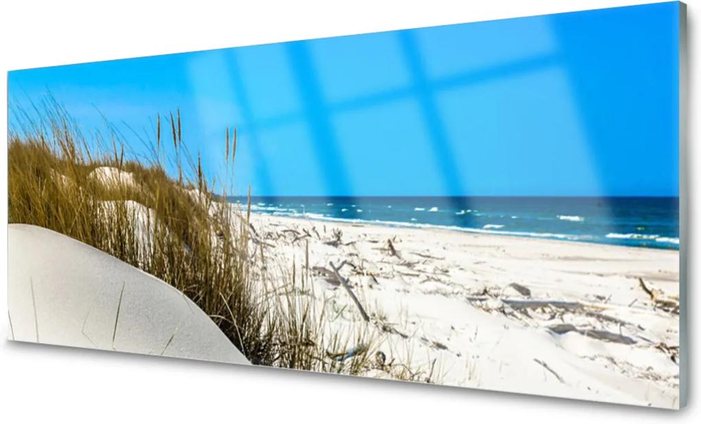 Obraz na skle Skleněný Pláž Krajina