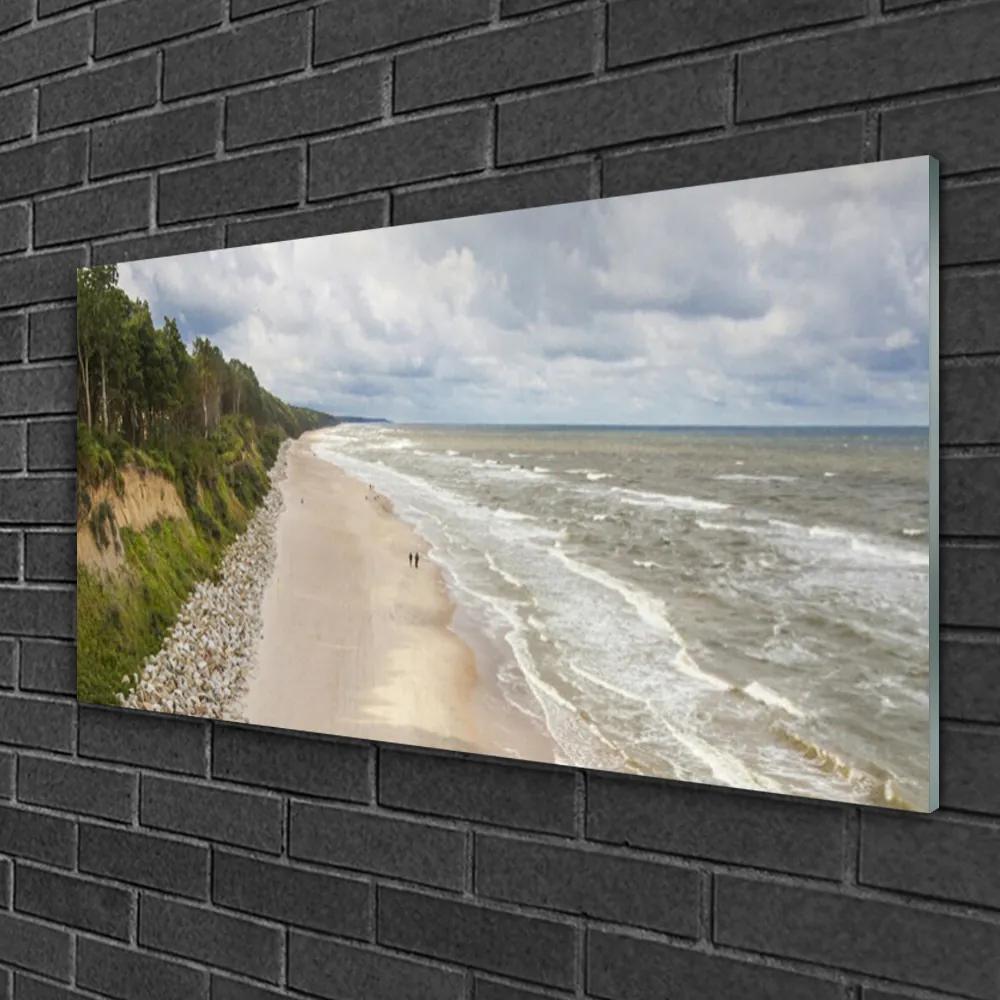 Obraz na skle Pláž Moře Strom Příroda 100x50 cm