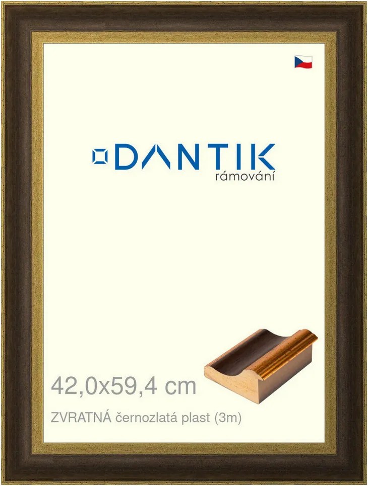DANTIK rámeček 42x59,4 | ZVRATNÁ černozlatá plast (Plexi Čiré)