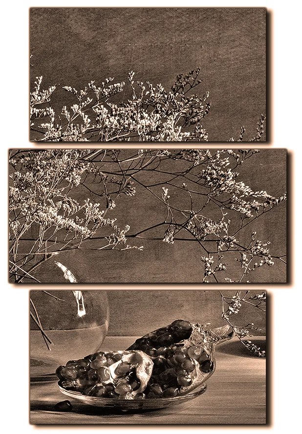 Obraz na plátně - Zátiší - větev a granátové jablko - obdélník 7274FC (90x60 cm)