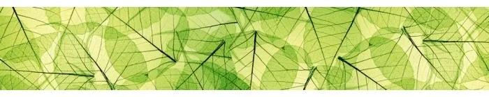 DIMEX | Fototapeta do kuchyně Žilky listů KI-350-048 | 350 x 60 cm | zelená
