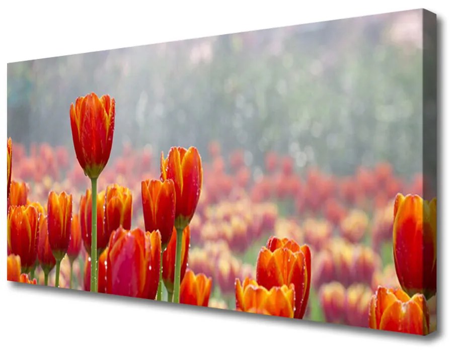 Obraz na plátně Tulipány Květiny Rostlina 100x50 cm