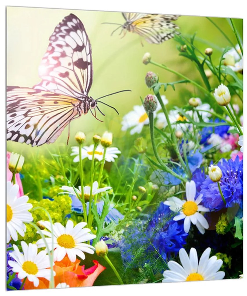 Obraz letních květů s motýlem (30x30 cm)