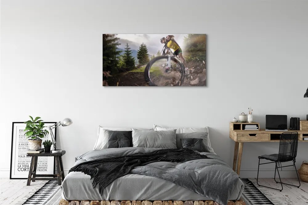 akrylový obraz Cloud na horském kole 125x50 cm