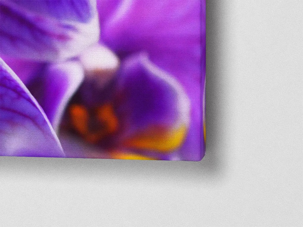 Obraz na plátně fialová orchidej Rozměr: 60 x 25 cm