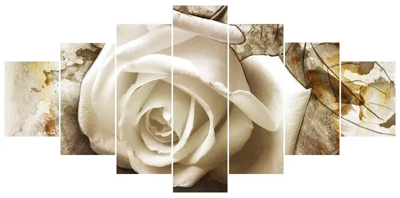 Obraz bílé růže  (210x100 cm), 40 dalších rozměrů