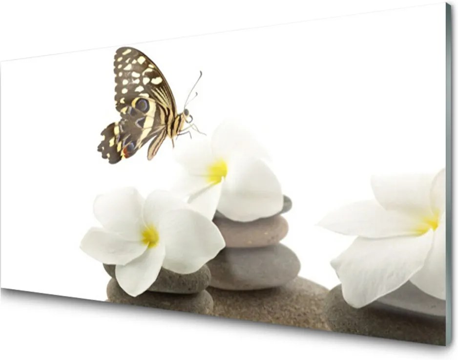 Plexisklo obraz Motýl Květ Kameny Rostlina