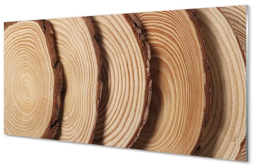 akrylový obraz plátky obilí dřeva 100x50 cm
