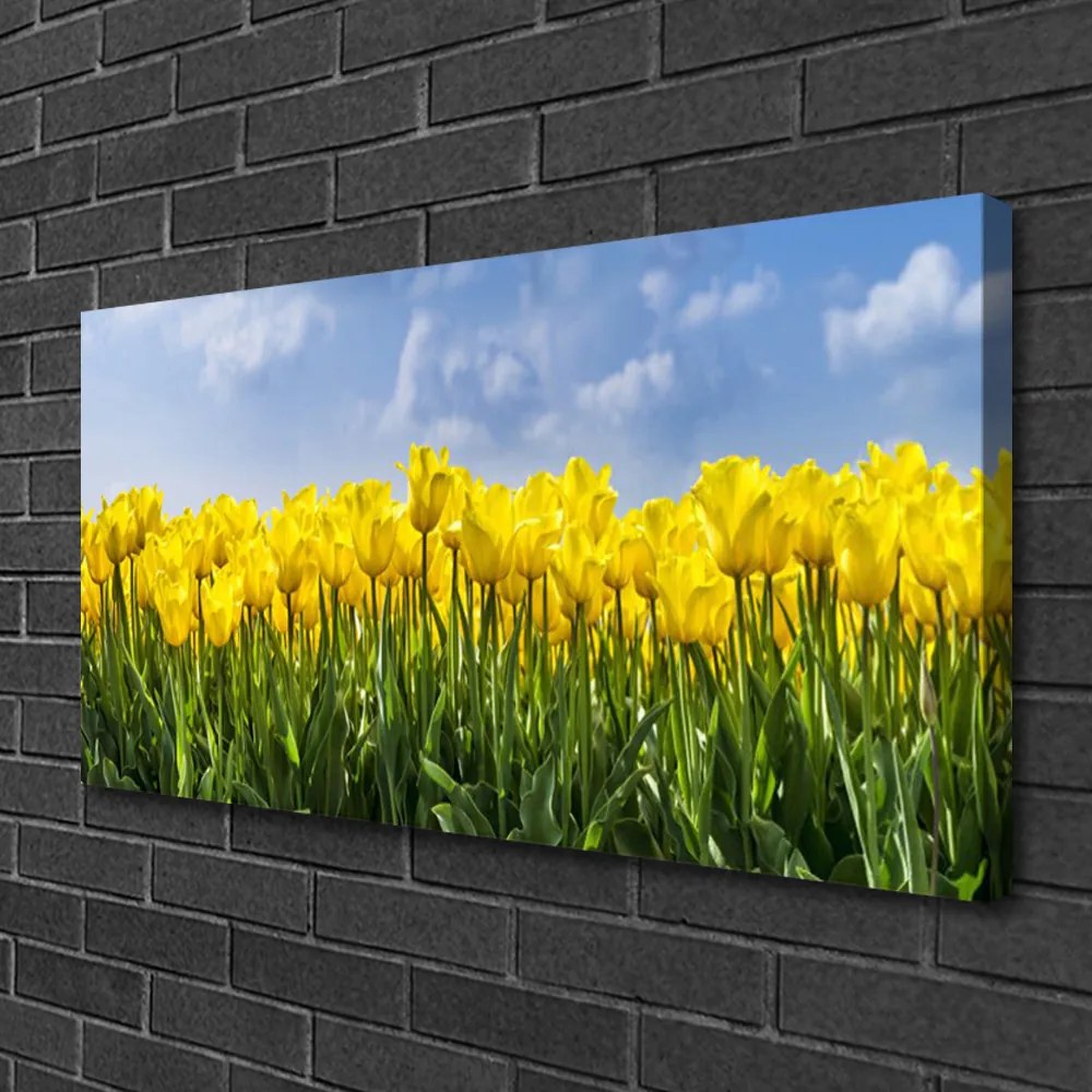 Obraz na plátně Tulipány Květiny Rostlina 120x60 cm