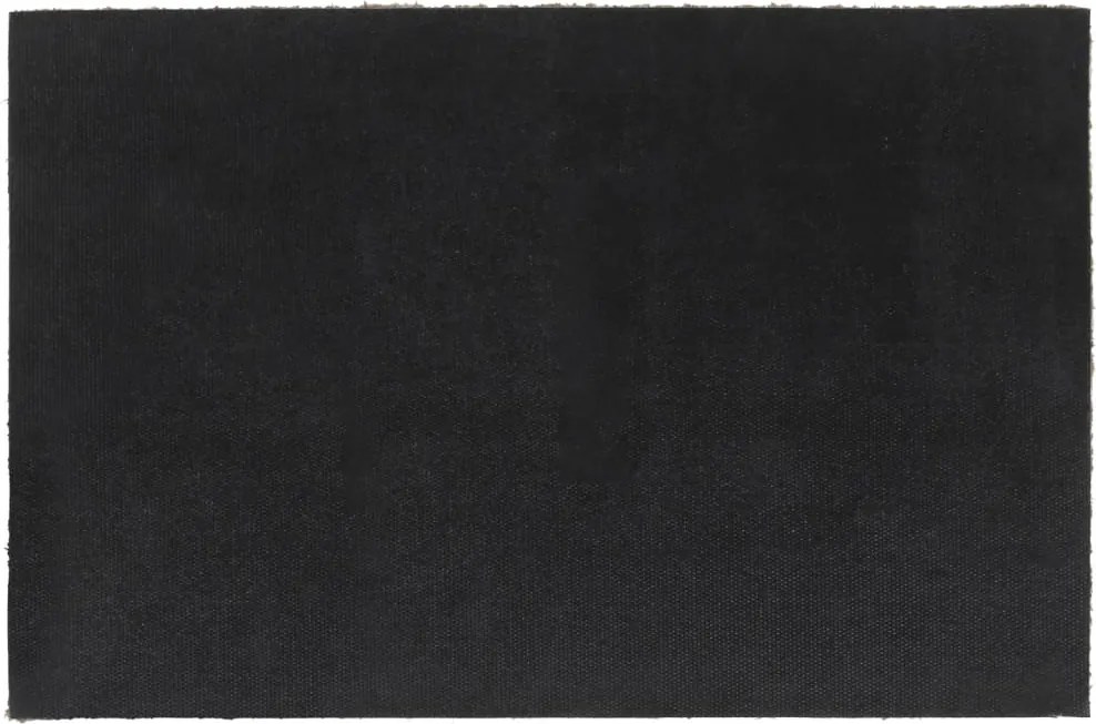 Rohožka před dveře přírodní 40 x 60 cm kokosové vlákno 155612