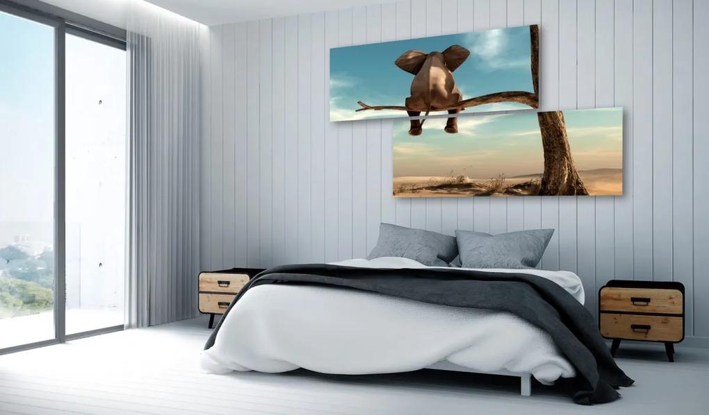 Malvis ® Zábavný slon Velikost (šířka x výška): pětidílný obdélník - 100x45 cm