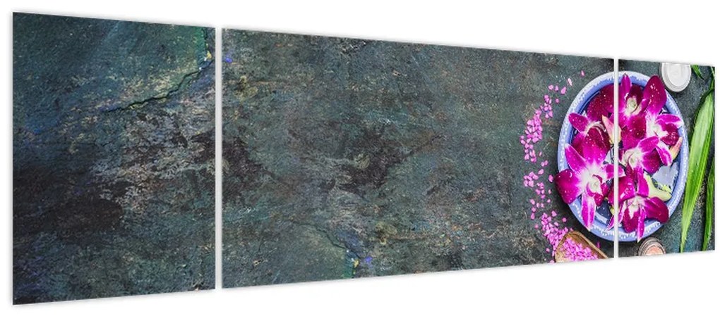 Obraz - Wellness (170x50 cm)