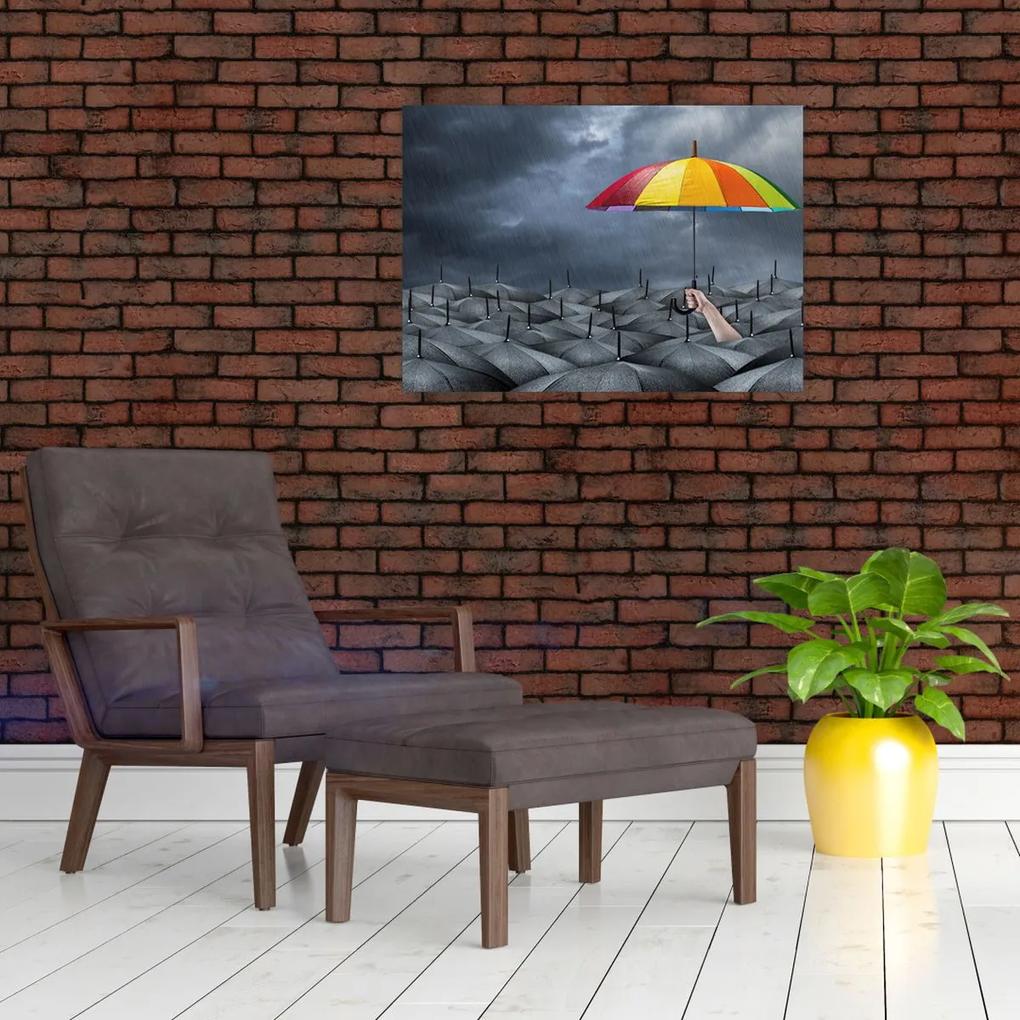 Obraz - Deštníky (70x50 cm)