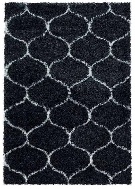 Vopi | Kusový koberec Salsa shaggy 3201 antraciet - 160 x 230 cm