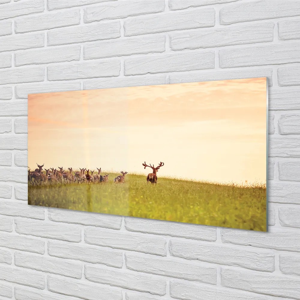akrylový obraz Stádo jelenů pole svítání 140x70 cm